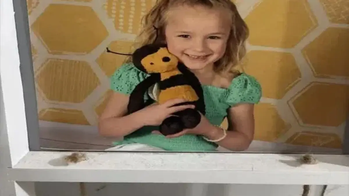 Amber Alert Resolved: Missing Child Safely Located Wednesday Night ...